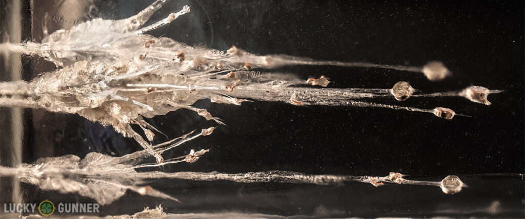 Handgun Self-Defense Ammunition - Ballistic Testing Data