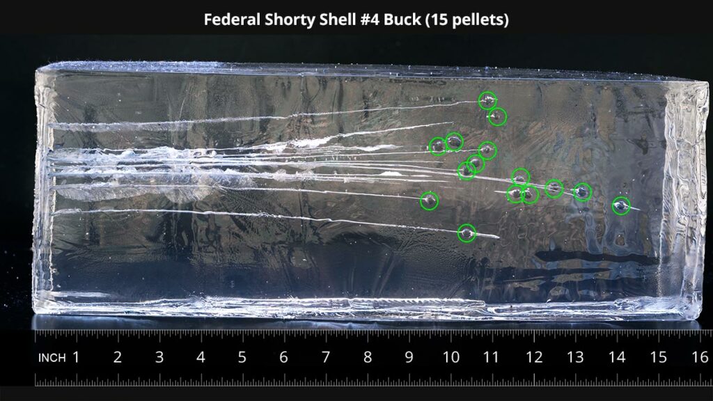 Are Mini Shotgun Shells Viable for Self-Defense? - Lucky Gunner Lounge