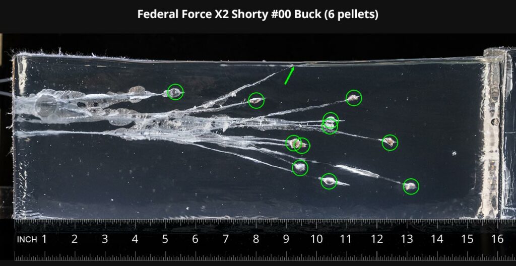 Are Mini Shotgun Shells Viable for Self-Defense? - Lucky Gunner Lounge